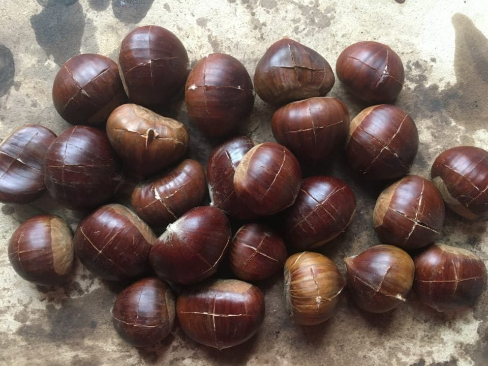 Maronen rösten im Kugelgrill